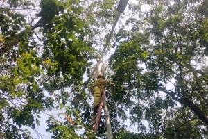 South Jakarta Fixes Vandalized Streetlights on Jalan Teuku Nyak Arief