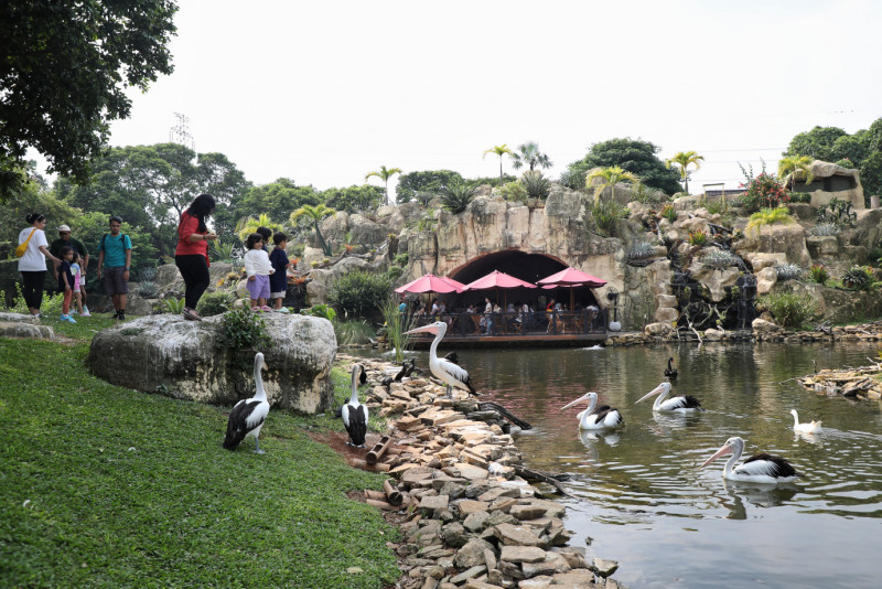 Menghabiskan Waktu Libur di Taman Burung Jagat Satwa Nusantara | Beritajakarta.id