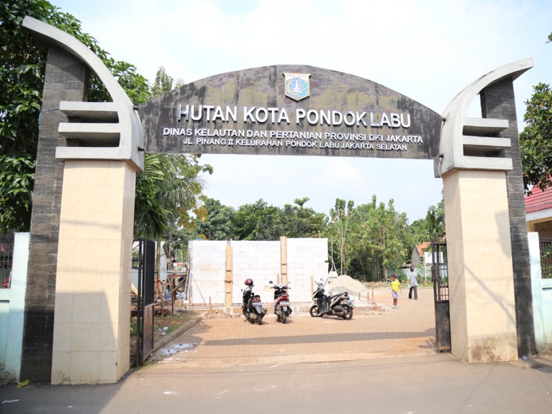 Tembok Hutan Kota Pondok Labu Dibongkar | Beritajakarta.id