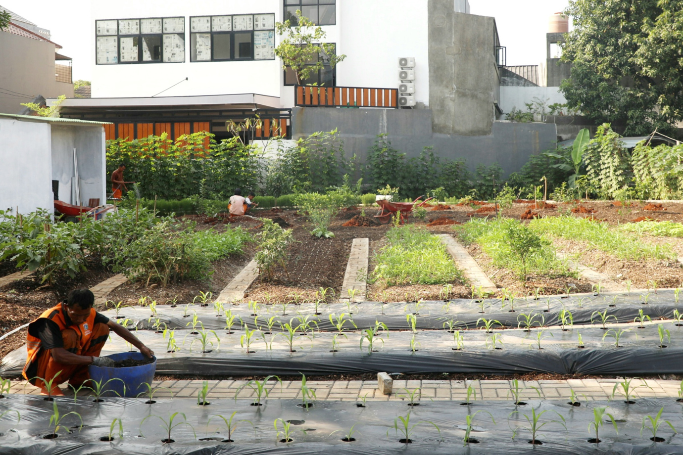 Lahan Tidur di Pegangsaan Dua Disulap Jadi Urban Farming | Beritajakarta.id
